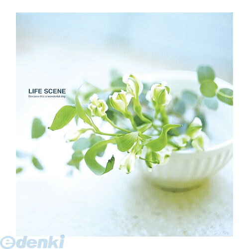 &nbsp; ナカバヤシ &nbsp; 0120-166-779 プラコート台紙シリーズ！●タテ335×ヨコ325×背巾25mm ●印刷PP貼表紙 ●Lサイズ・プラコート台紙（ホワイト）10枚 ●貼付有効サイズ：タテ315×ヨコ270mm ...