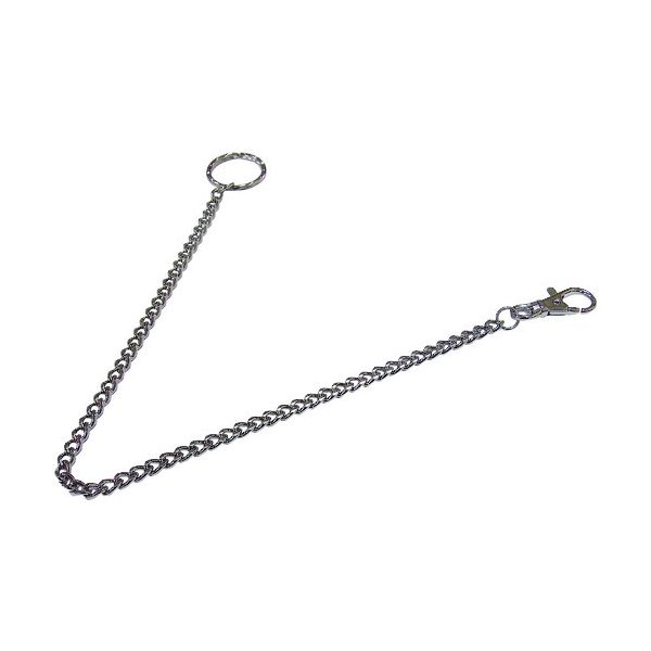 【商品説明】【特長】●片側にキーリングが付いているのですぐに使用できます。【用途】●キーホルダーに。【仕様】【仕様2】●ニッケルキーチェイン35cm【材質／仕上】【セット内容／付属品】【注意】類似商品はこちらニッサチェイン No.11 ニッ...
