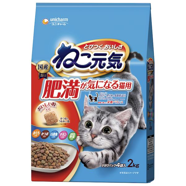 【商品説明】●肥満が気になる愛猫の健康に配慮したカロリー控えめな低脂肪設計のおいしい食事●サクサクおいしい食感のかつおだし入り粒が入ってとびつくおいしさ●脂質：ねこ元気全成長段階用比 約90％●カロリー：ねこ元気全成長段階用比 100gあた...