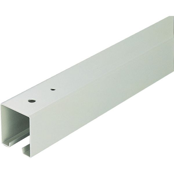 【商品説明】【特長】●高強度な溶融亜鉛めっき鋼板を採用し、天井直付けを可能にしました。（N40は除く）【用途】●吊り車用の軌道レール【仕様】●耐荷重(kg)：100●全長(mm)：2000●板厚(mm)：1.6●A(mm)：57●B(mm)...