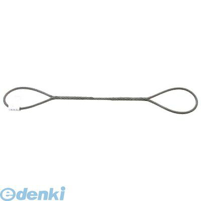 ●物を吊り上げ・固定する際に使用します。（1本吊厳禁）●土木・建築現場で一般的に使用されているワイヤです。●土木、建築工事などでの荷物の吊り上げ・荷物の固定●長さ(m):1●ワイヤ径(mm):9●アイ寸法(mm):200x100●質量(kg...