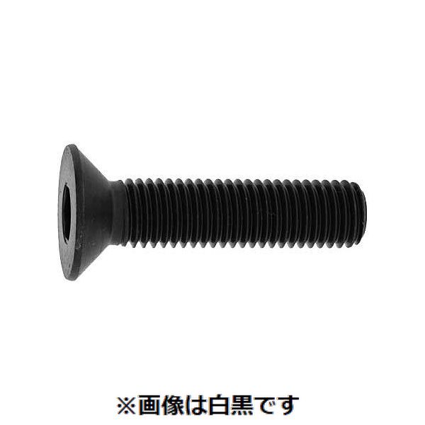 【商品説明】サンコーインダストリー株式会社　4548325061789　皿CAP（日星 全ネジ 14X60X60類似商品はこちらSUNCO 4548325061956 直送12,093円SUNCO 4548325061796 直送8,946...