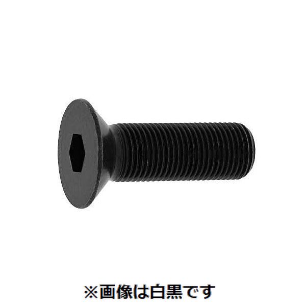 【商品説明】サンコーインダストリー株式会社　4548325548945　SUSサラCAP 細目P＝1．25 10 X 15類似商品はこちらSUNCO 4548325548969 直送13,122円SUNCO 4547733069431 直送...