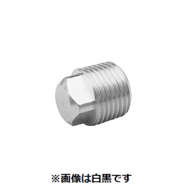 【商品説明】・不要な配管部分（内ネジ）のブラインドに使います。・四角頭になっているため、栓をした後に四角部を切断して表面に出っ張りを　なくすことも容易で、補修や間違って開けた穴の修正などにも使われます。◆使用条件圧力 ： 6.90MPa（7...