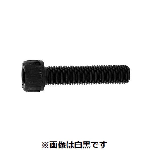 【商品説明】サンコーインダストリー株式会社　4548833857560　ステンCAP（全ねじ 細目P0．75 6 X 50類似商品はこちらSUNCO 4548833857539 直送11,662円SUNCO 4548833857553 直送...
