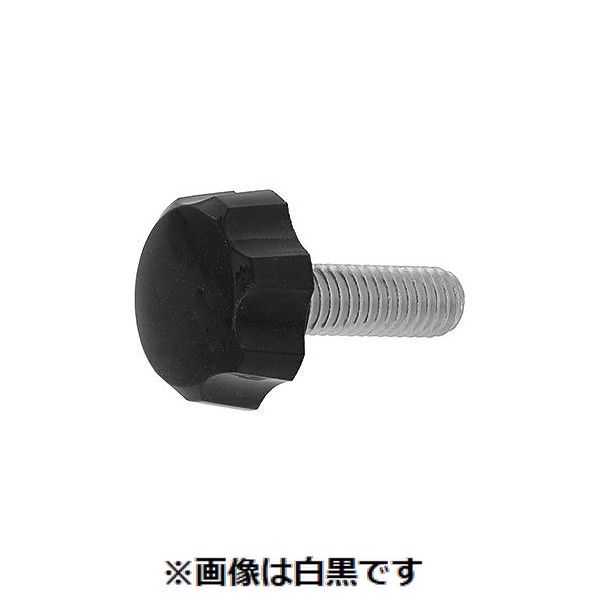 【商品説明】サンコーインダストリー株式会社　4549388838837　三価ホワイト 花ボルト黒 NO．2 4 X 20類似商品はこちらSUNCO 4549388838806 直送11,231円SUNCO 4549388838813 直送9...
