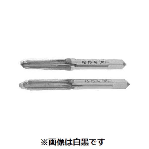【商品説明】サンコーインダストリー株式会社　4549638383544　Eサート（2本組タップ （中・上） M2．5X0．45類似商品はこちらSUNCO 4549638383551 直送 5,808円SUNCO 4525824740261 ...