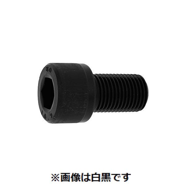【商品説明】サンコーインダストリー株式会社　4549663318627　ステンCAP（細目 ピッチ 1．0 12 X 20類似商品はこちらSUNCO 4549663318641 直送9,735円SUNCO 4549663318658 直送1...