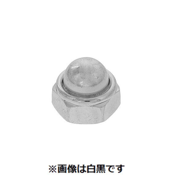 【商品説明】形状●ナットにバネ効果のあるリング（フリクションリングと言い材質はSUS301）をカシめ、一体化した物です。特徴●フリクションリングのバネ作用により雄ねじ部に摩擦が生じ、ゆるみ止め効果が発生します。●中間位置で定着する事が出来ま...