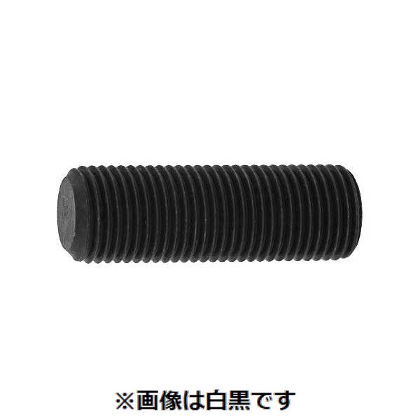 【商品説明】サンコーインダストリー株式会社　4550289845961　HSヒラサキ 細目P1．0 12 X 10類似商品はこちらSUNCO 4550186077519 直送18,076円SUNCO 4550186078233 直送17,0...