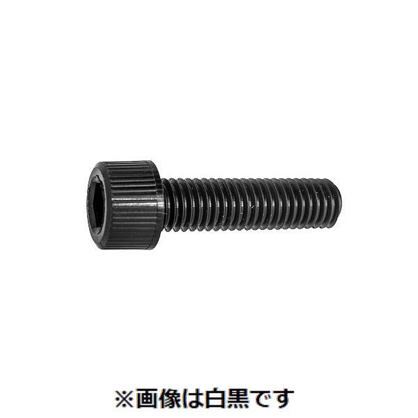 【商品説明】サンコーインダストリー株式会社　4942131455723　レニー（黒）CAP 6 X 25類似商品はこちらSUNCO 4525824536741 直送10,614円SUNCO 4942131556321 直送9,970円SUN...
