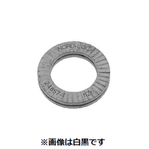 【商品説明】画像：デルタプロテクト　ノルトロック（鉄製）ワッシャー　M10　（NL10）レーザーマーキング、タイプコード表鉄、デルタプロテクト＝flZnステンレスSS　＝SS254 SMO＝254類似商品はこちらSUNCO 45258248...