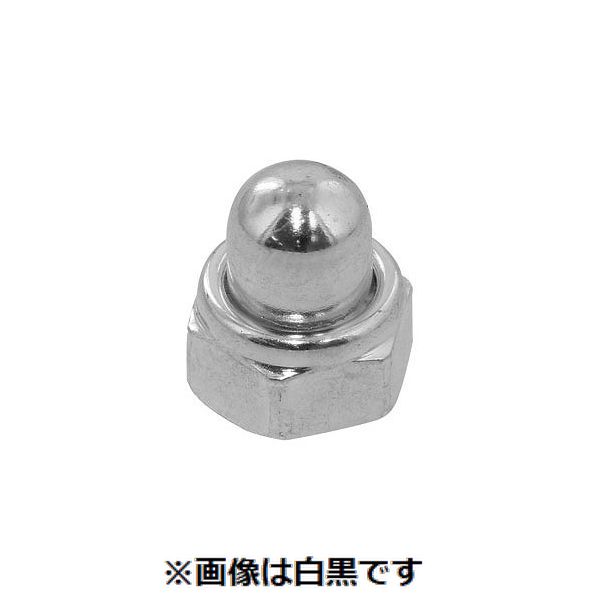 【商品説明】形状●ナットにバネ効果のあるリング（フリクションリングと言い材質はSUS301）をカシめ、一体化した物です。特徴●フリクションリングのバネ作用により雄ねじ部に摩擦が生じ、ゆるみ止め効果が発生します。●中間位置で定着する事が出来ま...