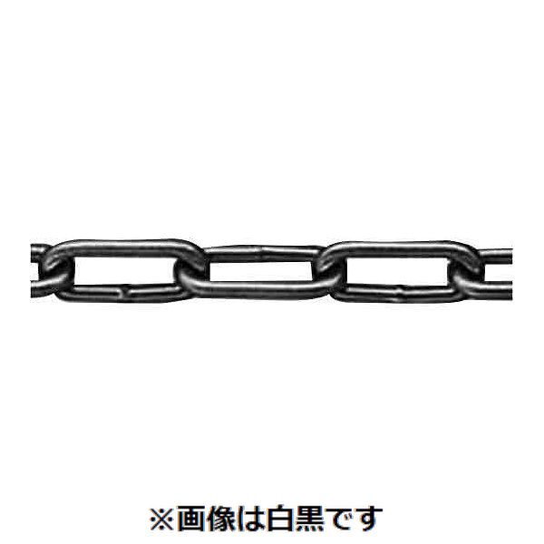 【商品説明】サンコーインダストリー株式会社　4942131958286　SUS ヘビーリンクチェーン （30M SW1030類似商品はこちらSUNCO 4942131956374 直送 18,567円直送 代引不可・他メーカー同梱不可 ニッ...