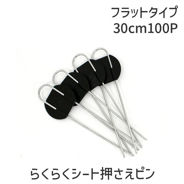 【商品説明】第一ビニール　4968438025476　らくらくシート押さえピン フラットタイプ 30cm100P類似商品はこちら第一ビニール 4968438025377 らく469円第一ビニール 4968438025384 らく1,999円...