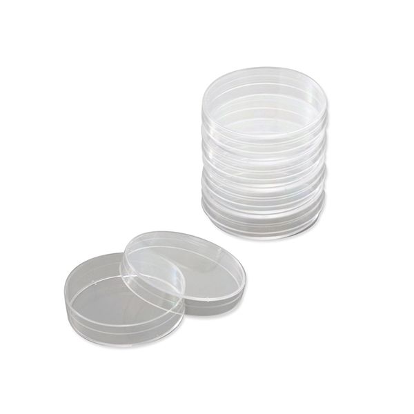 アズワン0120-700-875【商品説明】【特徴】接着細胞の接着性、増殖性を高める細胞培養表面処理を採用しています。●表面は平滑で歪みがないため、観察性にすぐれています。●生産ロットごとに汚染試験、細胞増殖試験などを実施しています。【仕様...