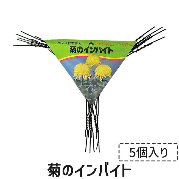 【商品説明】welzo　4903702201729　渡辺泰 菊のインバイト 5個入り 黒 5コイリ クロ類似商品はこちら4903702201811 渡辺泰 菊の輪台 525円4903702201835 渡辺泰 菊の輪台 552円490370...