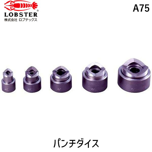 ロブテックスメーカーお問い合わせ：072-980-1111【商品説明】●エビパンシャーの薄鋼管用パンチダイスです。　●穴径 (φmm):77.2＜＜注意・使用条件＞＞●パンチ・ダイス部に触れた状態でハンドル操作しないでください。＜＜特記事項...