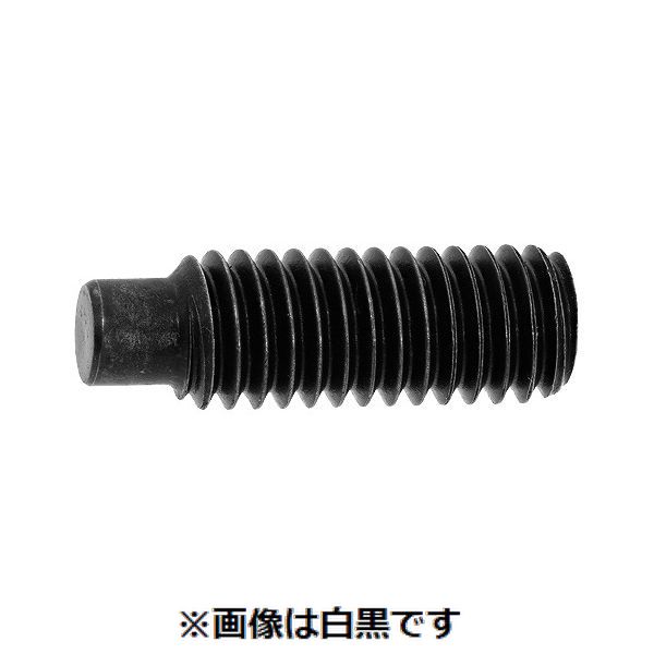 【商品説明】サンコーインダストリー株式会社　4525824011958　HS（アンスコ（棒先 12 X 16類似商品はこちらSUNCO 4525824011996 直送19,965円SUNCO 4525824011927 直送25,116円...