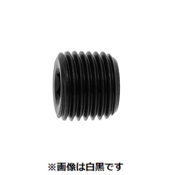【商品説明】サンコーインダストリー株式会社　4525824339922　プラグ（浮き（TKS PT 1／4類似商品はこちらSUNCO 4942131033617 直送8,939円SUNCO 4942131038292 直送32,806円SU...