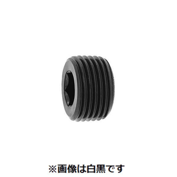 【商品説明】サンコーインダストリー株式会社　4525824340607　プラグ（沈み（TKS PT 1／2類似商品はこちらSUNCO 4525824340645 直送13,674円SUNCO 4525824340584 直送14,369円S...
