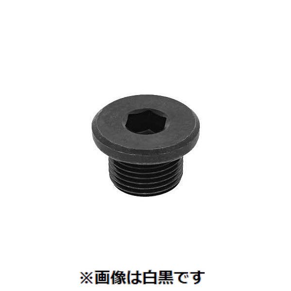 【商品説明】サンコーインダストリー株式会社　4525824465164　GOSHOプラグ （高圧用 1”類似商品はこちらSUNCO 4942131525037 直送24,858円SUNCO 4942131525013 直送63,371円SU...