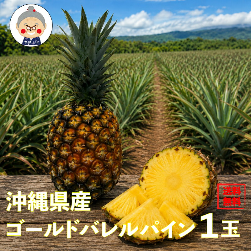 ▼ゴールドバレル パイン 1玉▼ 沖縄が誇る最高級パイナップル 「ゴールドバレル」。 その名の通り、黄金色に輝く果肉はとてもジューシーで、ひと口かじれば濃厚な甘さが口いっぱいに広がります。 酸味が少なく、芯までやわらかいのが特長。 パイナッ...