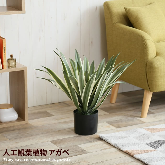 サイズ幅63cm×奥行63cm×高さ50cm材質ポリ塩化ビニル、合成樹脂脚部組立区分組立なしお届け3〜5日営業日以内の発送予定となります。午前・午後のお届け時間のご指定が可能です。&nbsp;備考【梱包サイズ】55cm×18cm×18cm【...