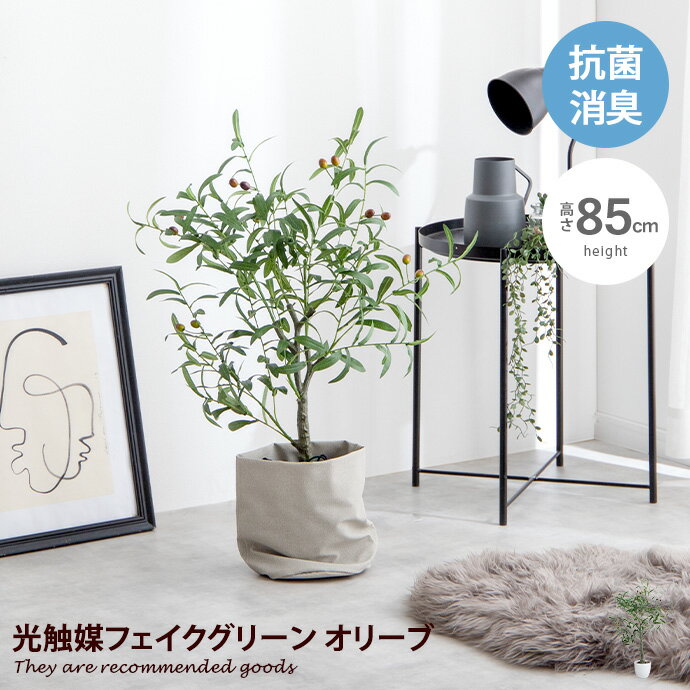 楽天市場】オリーブ の 木 フェイクの通販 楽天市場】オリーブ の 木 フェイクの通販