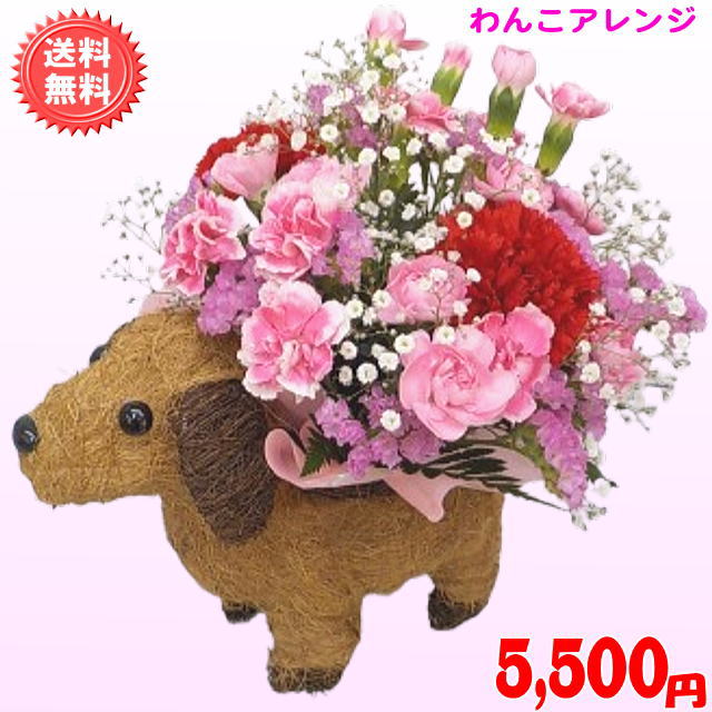 &nbsp; &nbsp; ギフト対応 ■母の日配送予約受付中！■ ■数量限定■ 全国【送料無料】！！（※但し北海道700円/東北.九州.四国.一部離島200円/沖縄不可） この機会をお見逃しなく！！ ■◇■2026年人気のアレンジ！■◇■...