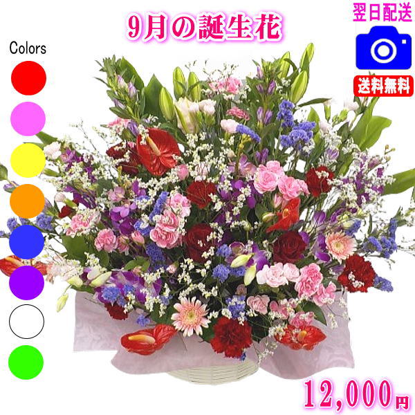 ギフト対応 ■PM3時までのご注文であす楽対応！■ ■お届け画像の確認が出来ます■ ■デザイナーにおまかせ15,000円【送料無料】はこちらから■ ■フラワーデザイナーにおまかせの人気のシリーズです 　 　※イメージを選ぶこともできます 　...
