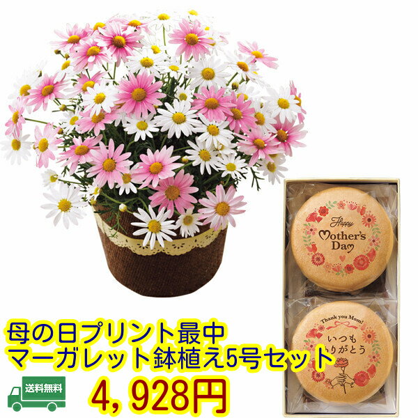 製品特徴 商品名 母の日オリジナルプリント最中とマーガレット鉢植え5号のセット サイズ／寸法 ●現品約20×20×高さ25cm 内容 ご注意事項 母の日のみ対応商品です　一部離島は送れない場合があります。予めご了承下さい。 その他商品説明 ...