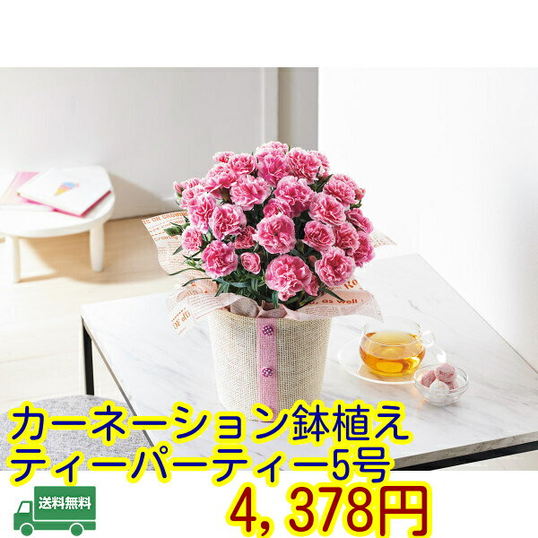 製品特徴 商品名 カーネーション鉢植え「ティーパーティ」5号 サイズ／寸法 ●現品約20×20×高さ30cm 内容 ●カーネーション（5号鉢）、バスケット●お手入れのしおり付　【ボール箱入】 ご注意事項 母の日のみ対応商品です　一部離島は送...