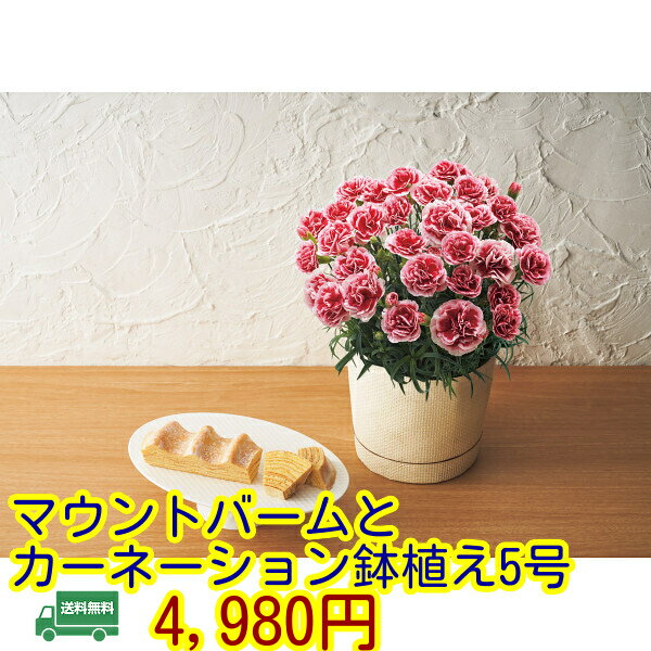 製品特徴 商品名 ねんりん家マウントバームとカーネーションいちごホイップ5号セット サイズ／寸法 ●現品約20×20×高さ30cm 内容 ●カーネーション（5号鉢）、バスケット●お手入れのしおり付●マウントバーム　しっかり芽　1本（長さ約1...
