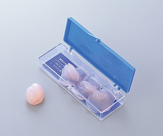 ※画像はイメージです※本商品は、メーカー取り寄せ商品となります※掲載商品は予告無く販売終了となっている場合があり、出荷確約をするものではありません■特徴●丸めるだけで耳内のかたちや輪郭にぴったりフィットします。■仕様●入数：1ケース（4個入...