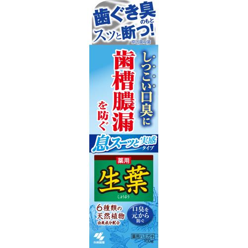 商品説明●歯槽膿漏を防ぐ。●口臭を防ぐ。●息スーッと実感タイプ。広告文責株式会社ウェルパーク　電話番号：042-659-3716