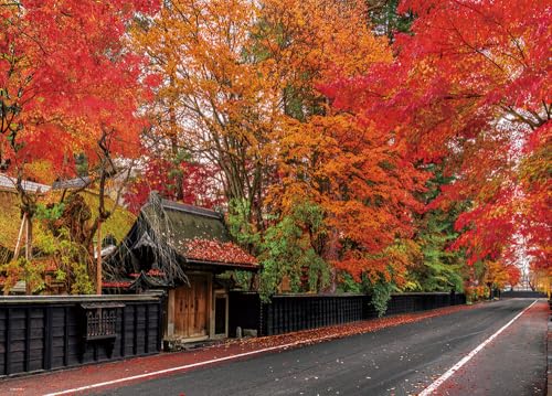 パッケージ個数:1・美しい紅葉をジグソーパズルで楽しめる・情緒ある武家屋敷の黒壁と黒曜のコントラストが訪れる人々を魅了する、秋田 角館の武家屋敷通り商品紹介 美しい紅葉をジグソーパズルで楽しめる 安全警告 なし