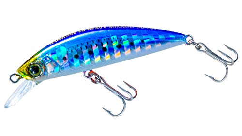 50mm・HIW(イワシ) 50mm F1200-HIW・・Color:HIW(イワシ)・Size: 50mm・Weight: 6g・Ring#: 1・Hook#: 12・Distance: Max40m説明 ぶっ飛びヘビーミノー 通常のミ...