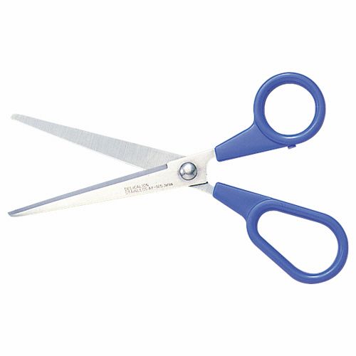 【代引不可】【イージャパンモール】【返品・交換・キャンセル・日時指定不可・法人（会社・企業）様限定】 必ず2通目のメールをご確認ください。 ※本商品は熨斗・包装（ラッピング）はお承り出来ない商品となります。 ※本商品はお届け先様名が法人（企...