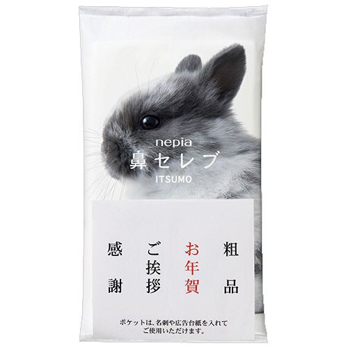 【代引不可】【イージャパンモール】【返品・交換・キャンセル・日時指定不可・法人（会社・企業）様限定】 必ず2通目のメールをご確認ください。 ※本商品は熨斗・包装（ラッピング）はお承り出来ない商品となります。 ※本商品はお届け先様名が法人（企...