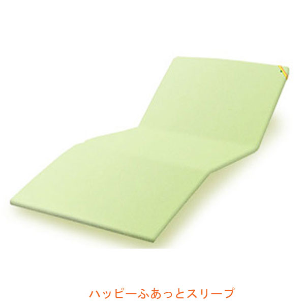 ※受注生産品　発送までにお時間を頂きます。予めご了承ください。 ・床ずれ防止マットレス ・あたりのやわらかさと高反発性を兼ね備えたマットレス ・取り出し可能な中材三分割仕様。 ・メンテナンスやローテーション等の中材管理に便利です。 ・抗菌防...
