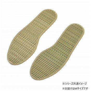 ※北海道、沖縄、離島は、別途送料が発生致します。「北海道・沖縄・離島・一部地域へのお届けは別途送料を請求させていただきます。」「お客様都合でのキャンセルの場合、出荷前後にかかわらずキャンセル料などの手数料が発生いたしますので予めご了承くださ...