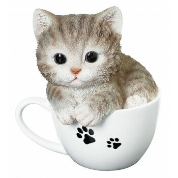 「北海道・沖縄・離島・一部地域へのお届けは別途送料を請求させていただきます。」「お客様都合でのキャンセルの場合、出荷前後にかかわらずキャンセル料などの手数料が発生いたしますので予めご了承ください。」「メーカーより取り寄せ商品のため、在庫状況...