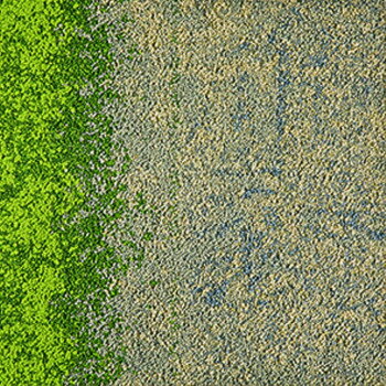 「北海道・沖縄・離島・一部地域へのお届けは別途送料を請求させていただきます。」「お客様都合でのキャンセルの場合、出荷前後にかかわらずキャンセル料などの手数料が発生いたしますので予めご了承ください。」「メーカーより取り寄せ商品のため、在庫状況...