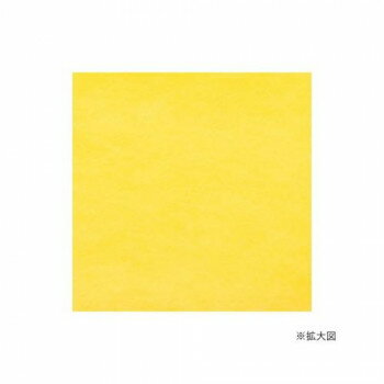 「北海道・沖縄・離島・一部地域へのお届けは別途送料を請求させていただきます。」「お客様都合でのキャンセルの場合、出荷前後にかかわらずキャンセル料などの手数料が発生いたしますので予めご了承ください。」「メーカーより取り寄せ商品のため、在庫状況...