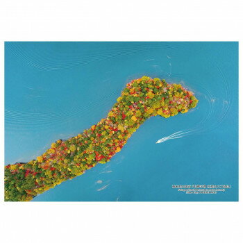 「北海道・沖縄・離島・一部地域へのお届けは別途送料を請求させていただきます。」「お客様都合でのキャンセルの場合、出荷前後にかかわらずキャンセル料などの手数料が発生いたしますので予めご了承ください。」「メーカーより取り寄せ商品のため、在庫状況...