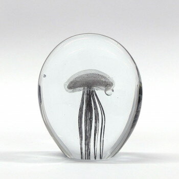 「北海道・沖縄・離島・一部地域へのお届けは別途送料を請求させていただきます。」「お客様都合でのキャンセルの場合、出荷前後にかかわらずキャンセル料などの手数料が発生いたしますので予めご了承ください。」「メーカーより取り寄せ商品のため、在庫状況...