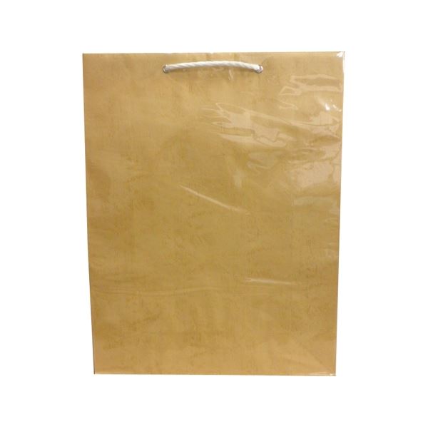 ■商品内容【ご注意事項】この商品は下記内容×5セットでお届けします。ビニールカバー付きで水や汚れに強い丈夫な手提袋です。■商品スペック●外形寸法（幅）[mm]：430●外形寸法（高）[mm]：560●外形寸法（マチ）[mm]：160●底板：...