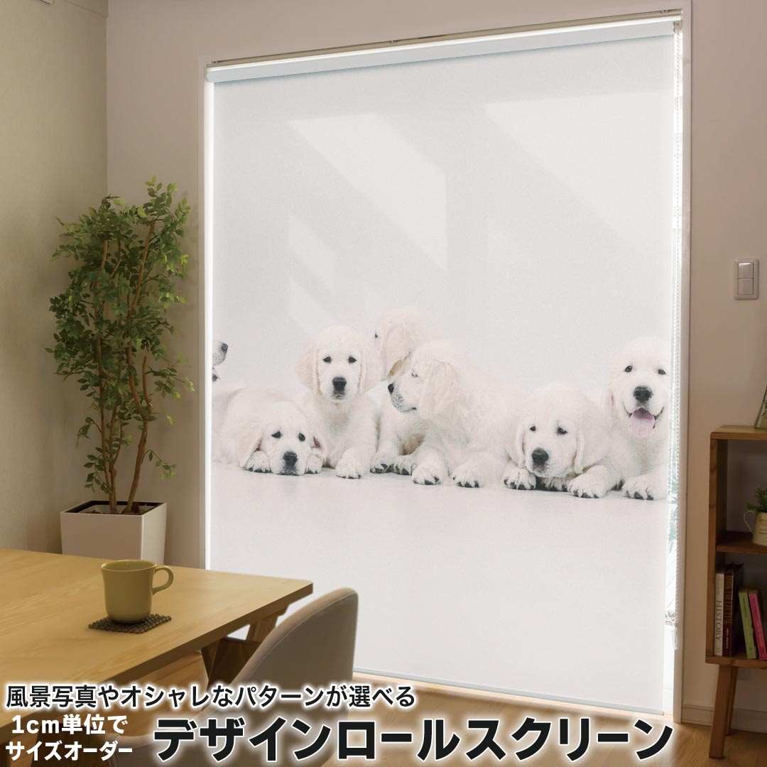 商品特徴・1cm単位でサイズオーダー可能なロールスクリーン・美しい写真やイラスト、パターンからデザインが選べる・操作方法や取付位置が選べるので様々な場面に対応注意事項【色味について】商品画像はサンプルですので、ご覧の環境によっては多少色味に...