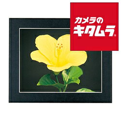 【製品仕様】●木製●枠はブラックテープ仕上げ済●厚手Vカット台紙（2.0mm）●吊り下げ用金具付●額縁外寸：320mm×434mm ※商品の仕様・対応をご確認の上、ご購入ください。 fujicolor`フジ`富士`フジフィルム`フジフイルム...